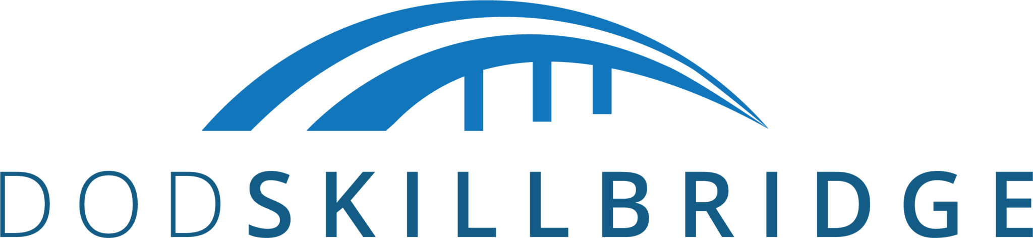DoD Skillbridge Internship Program